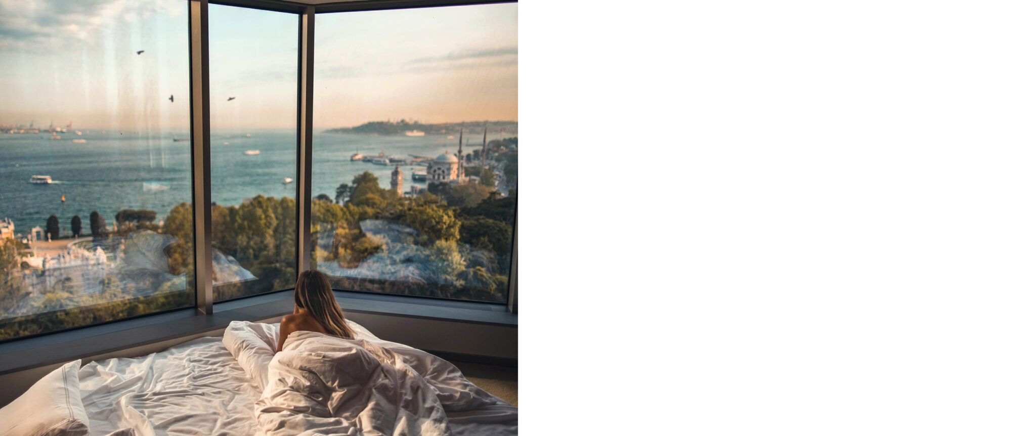 Live Demo - YITH Booking